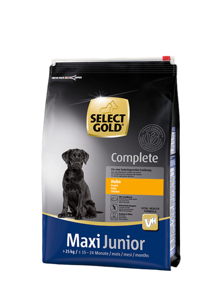 SELECT GOLD - JUNIOR | Maxi | Kućna dostava - Kuce i Mace